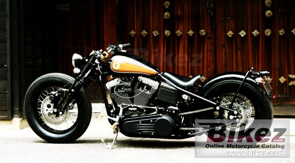 Road Hopper 9i gallery